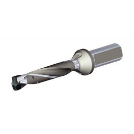 TDMX Body | Wolfmach